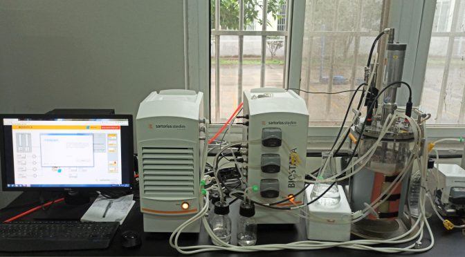 Publications | Wood Refinery